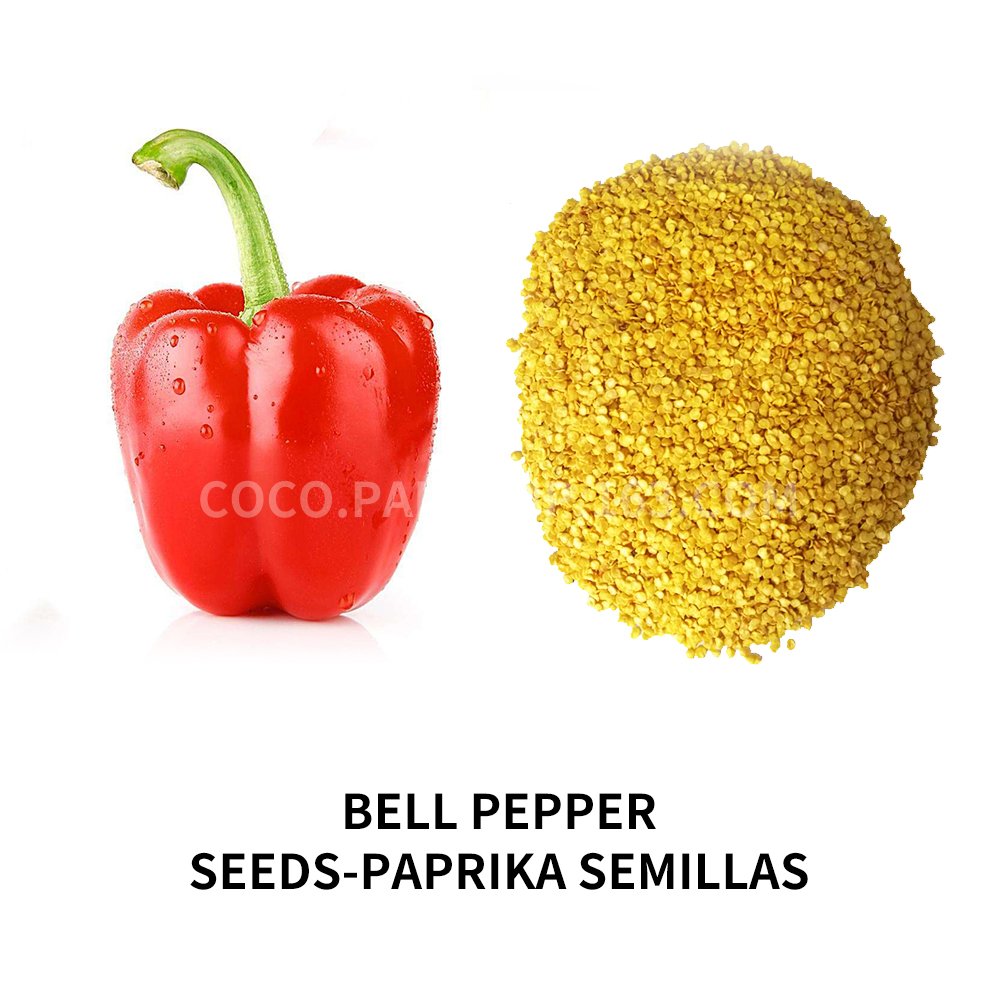Red bell pepepr seeds-paprkia semillas - HOLASPICE